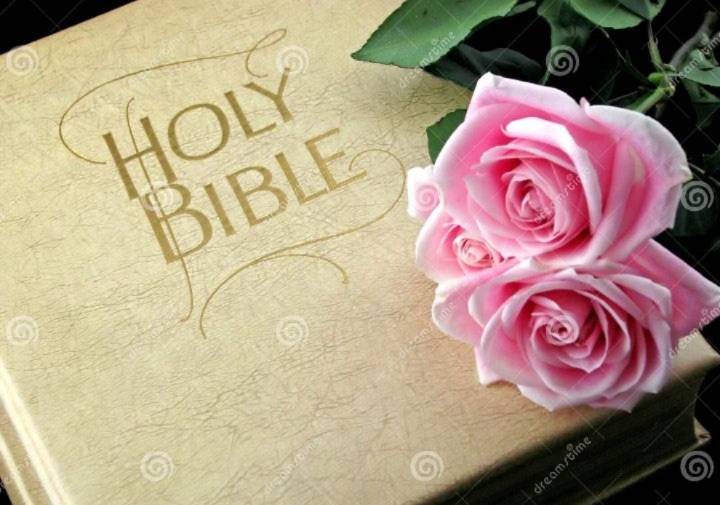 Today’s Daily Devotion: Christ Hath Made Us Free, And Be Not Entangled ...