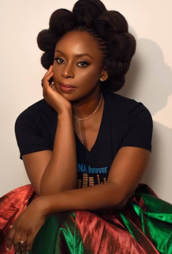 Adichie Accuses Lagos Hospital Of Blocking Probe Into Son’s Death ...